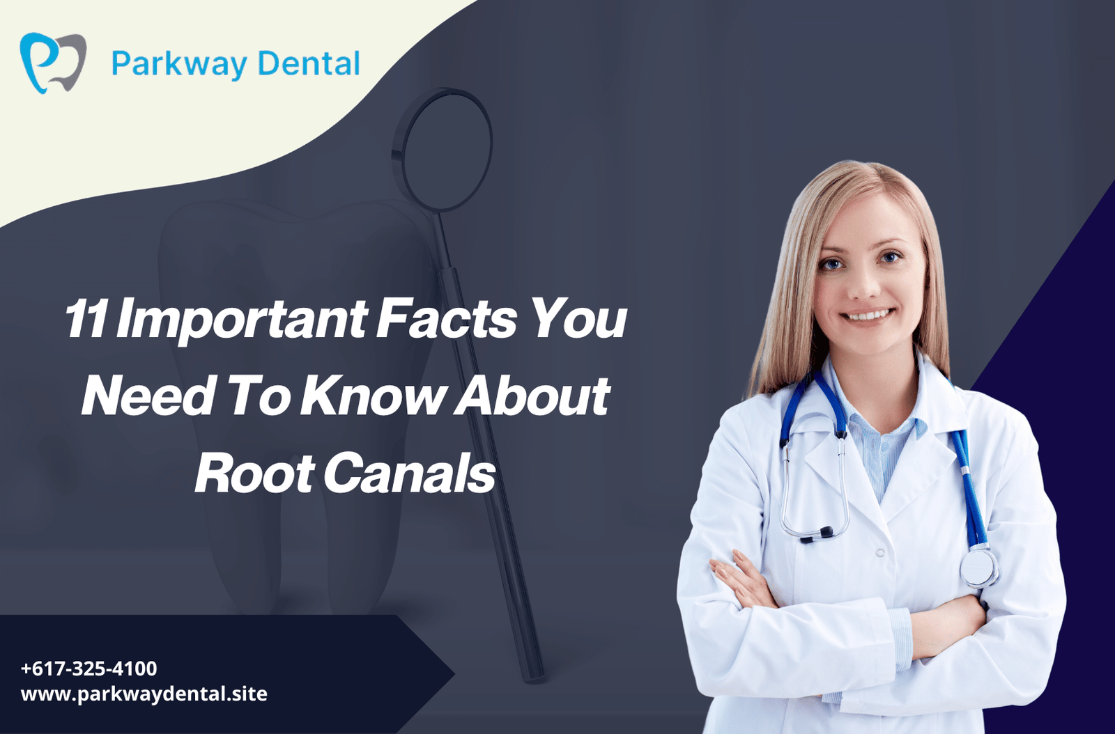 11 Important Facts You Need To Know About Root Canals